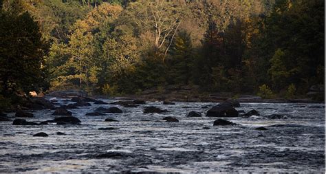 Though Not A Book For The Layperson Walter Rudins Principles Of Mathematical Analysis Is One