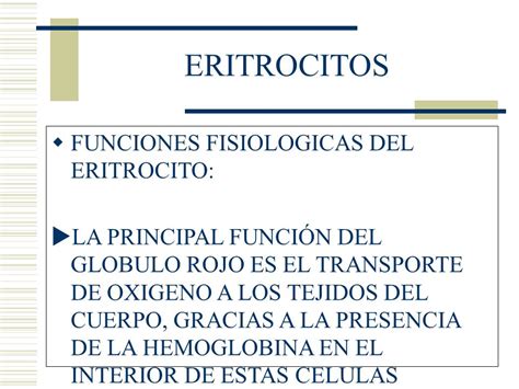 Tema Sangre Fisiologia Ppt Descargar