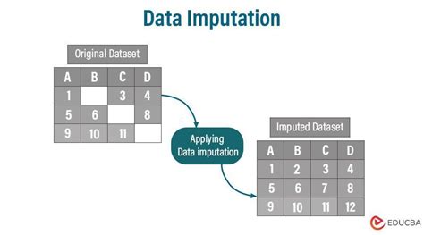 Data Imputation Educba
