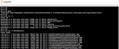 Transfer Learning For Custom Labels Using A Tensorflow Container And “bring Your Own Algorithm