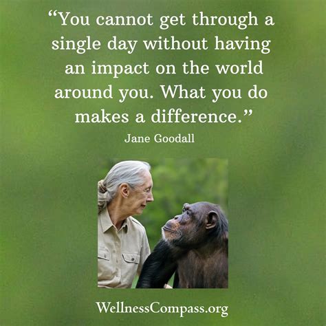 Four Quotes To Inspire Us From Dr Jane Goodall October 3 2025