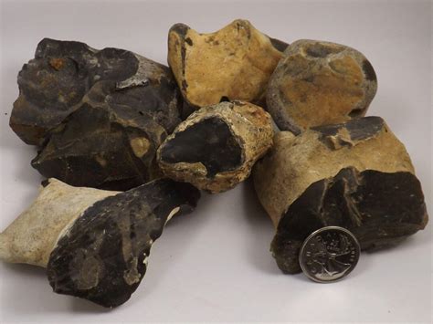 Parcel Of 7 Natural Flint Nodules Great For Flint Knapping Fire
