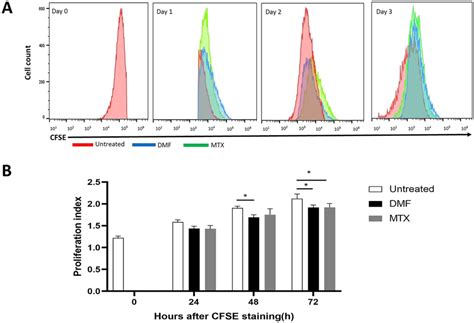 Proliferation Rate In Fls Treated With Dmf And Mtx By Cfse Assay