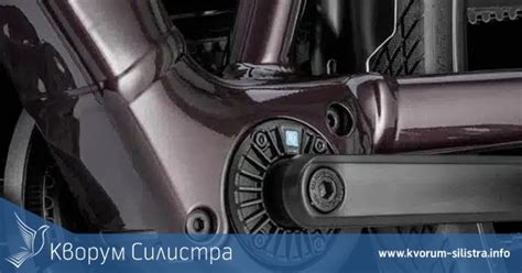 Силистренец наказан за управление на нерегистриран мотопед твърди че е електрически велосипед