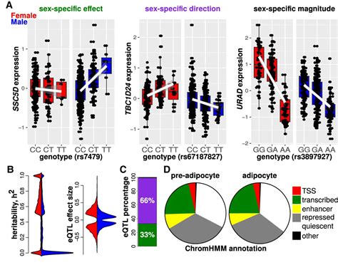 Sex Differences In Human Adipose Tissue Gene Expression And Genetic