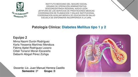 Patología Clínica Diabetes Mellitus Tipo 1 Y Tipo 2 Marla Rodríguez Udocz