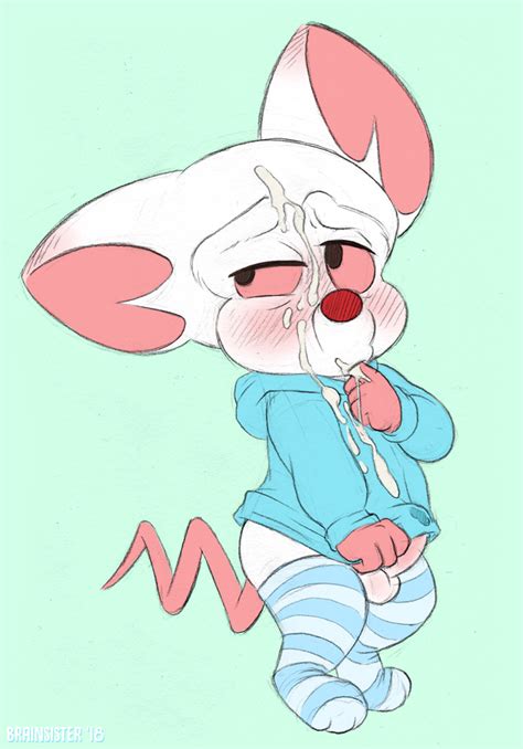 Post 2742201 Animaniacs Brain Brainbabe Pinky And The Brain