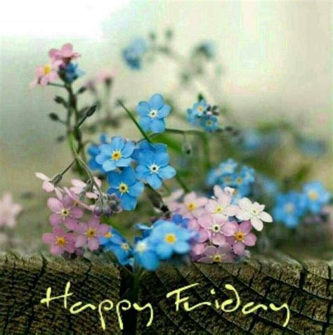 สวัสดีวันศุกร์ 7 5 64 Happy Friday รวมภาพสวัสดีวันศุกร์ รูปฟรี Oopsnew