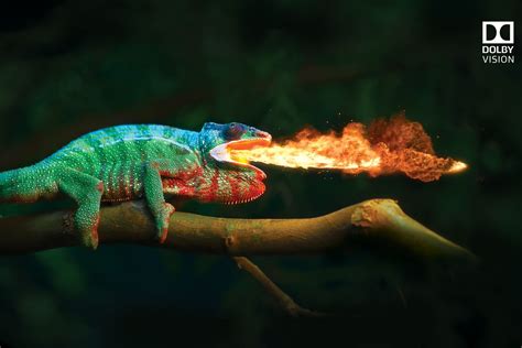 Why HDR Can Be The Saviour Of Bandwidth Restricted Streaming Services