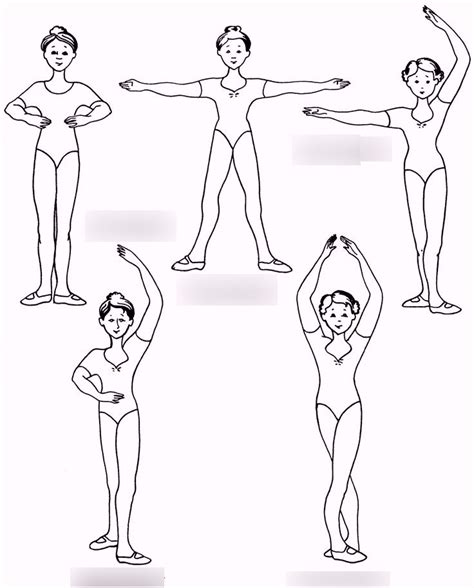 Ballet Arm Positions Diagram Quizlet