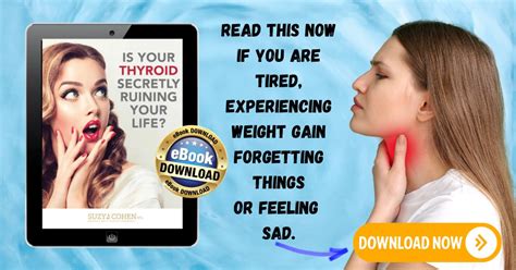 5 Essential Tips To Interpret Your Thyroid Lab Results Normal Isnt