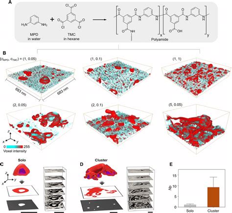 Tomographic Reconstruction Of Diverse 3d Membrane Nanostructures Download Scientific Diagram