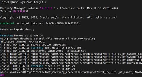 Rman Recovery Point In Time Oracle Database 19c Datalinks Vn
