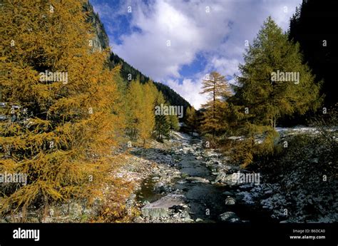 Mountain Creek Of Gelgia Near Village Of Mulegns Mountain Pass Of