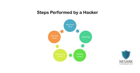 Top Five Phase Performed By Hackers Nesark Tutorials