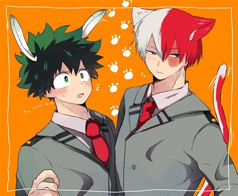 Cat Todoroki Shouto Rabbit Midoriya Izuku Smash Or Pass He Is My Everything Perfect