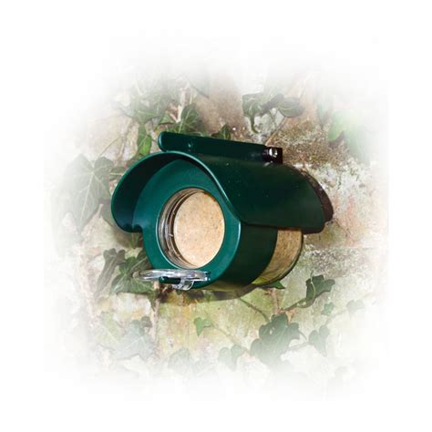 Flutter Butter Peanut Butter For Wild Birds Food For Birds