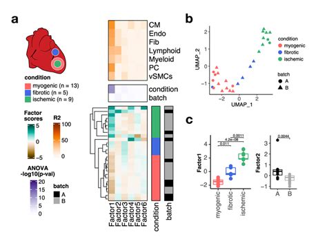 Multicellular Factor Analysis Using Mofa To A Single Cell Atlas Of