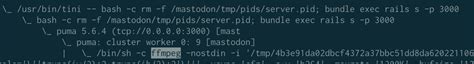 Offer Flexibility To Limit Load Caused By Video Transcoding · Issue 20064 · Mastodonmastodon
