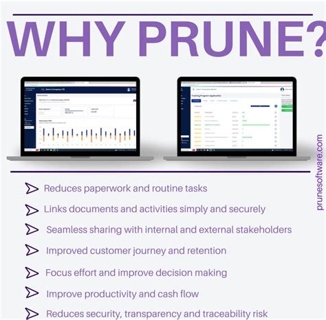 in summary here are the key benefits to implementing software to
