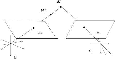 Binocular Stereoscopic Structure Download Scientific Diagram