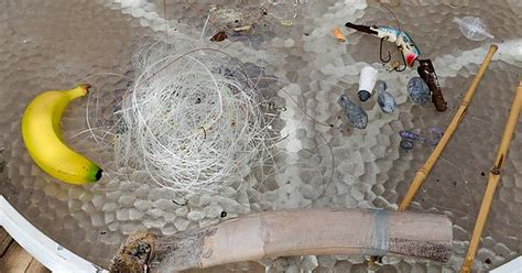 For One Month Friends And I Have Spend The First 5 Minutes Out Of Our