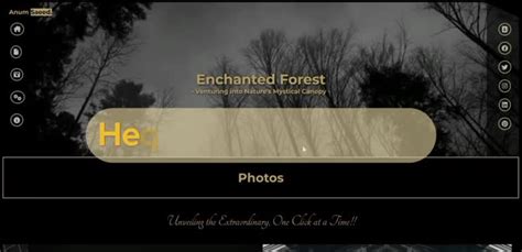 Anum Saeed On Linkedin Oasisinfobyte Portfolioproject