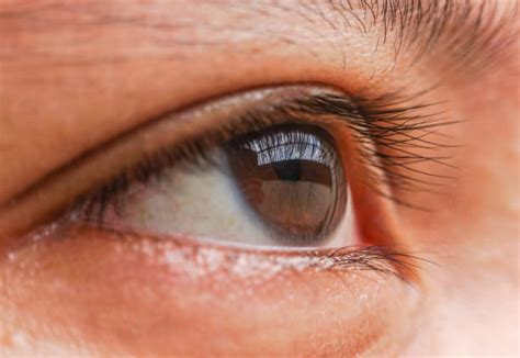 4000 Long Eyelashes Men Fotografías De Stock Fotos E Imágenes Libres