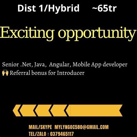 Lý Ngọc Ánh On Linkedin 📢exciting Opportunity For Senior Net Java Angular Mobile App