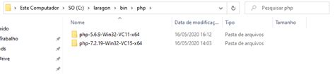 Utilizando Múltiplas Versões Do Php No Windows Com Laragon Rafael Couto