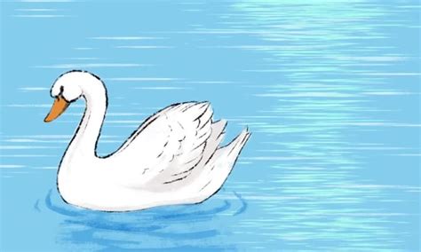 Make A 2d Custom Animation Or  By Lydoudoo Fiverr