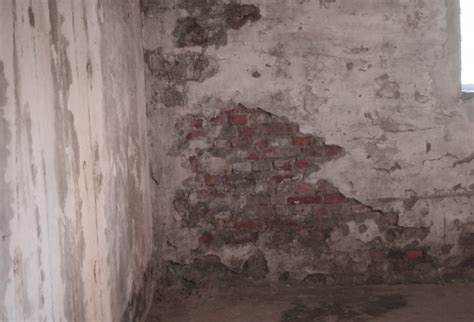 죽음의 아우슈비츠 수용소 가스실 후기 가는 법 네이버 블로그