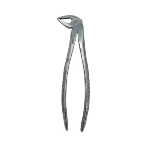 Lower Roots Carrot Hcp Dental Instrument Store