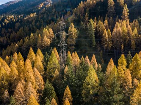 State Level Planning For Decarbonization Critical Elements Of