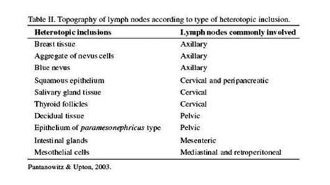Benign Inclusions In Lymph Nodes Histopathology Pptx