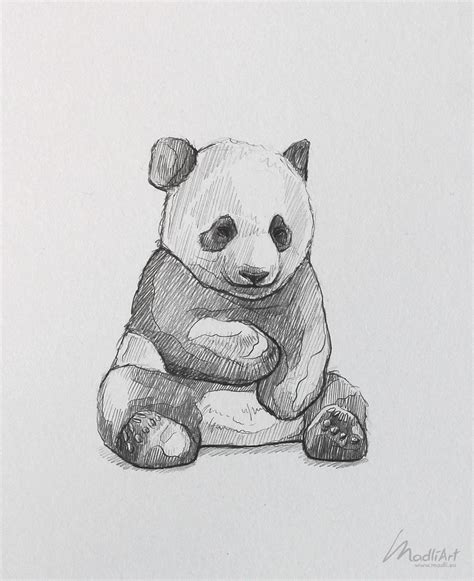 Pinterest In 2024 Animal Drawings Sketches Animal Drawings Art