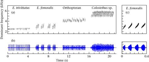 A Sound Spectrogram And B Oscillogram Of The Principal Auditory Download Scientific Diagram