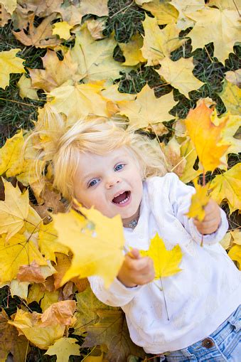 파란 눈을 가진 어린 소녀 낙된 엽에 거짓말을 하 고 즐겁게가 화창한 날에 재생 10월에 대한 스톡 사진 및 기타 이미지 10월 9월 가을 Istock