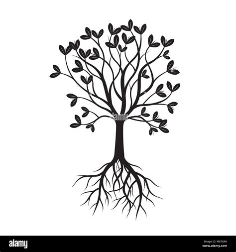 Tree With Roots And Branches Drawing