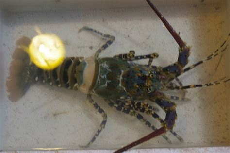 2024美奈渔村游玩攻略特别是黄昏的时候，站在渔港【去哪儿攻略】