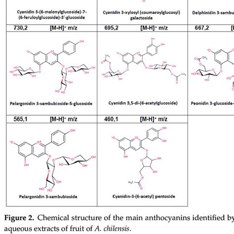 Phenolic Compounds Identified By Lc Ms Ms Analysis Of Aqueous Extracts Download Scientific