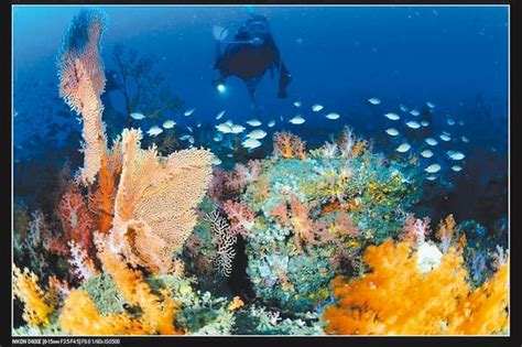 基隆議員籲林右昌 拒4接填海造陸 地方新聞 中國時報