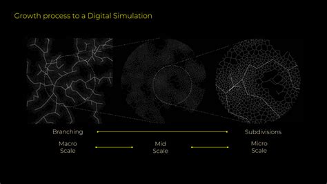 Slime Molds Simulation Iaac Blog