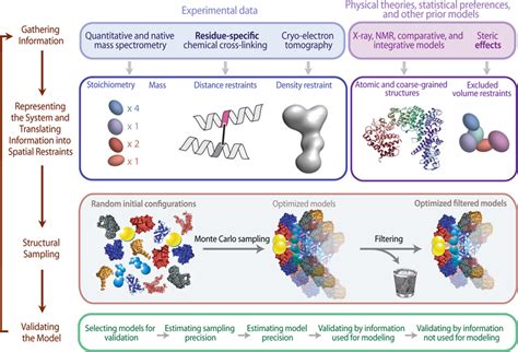 Cryo Electron Microscopy Based Service Mtoz Biolabs