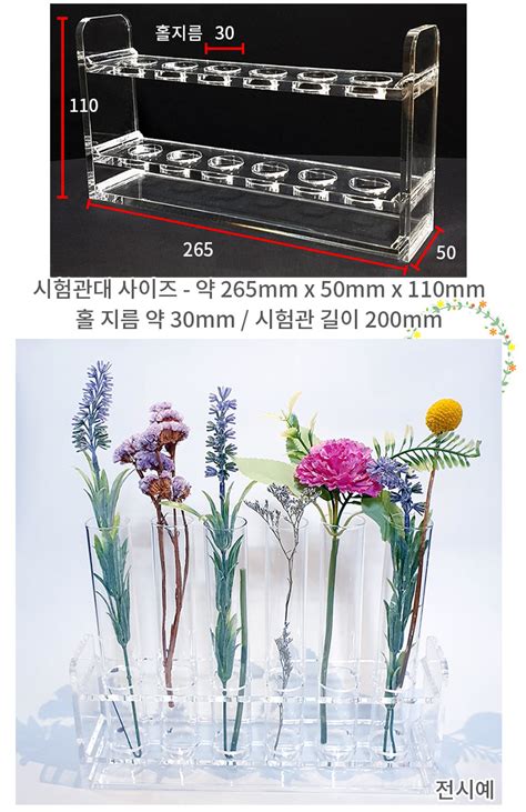 유리시험관세트 아크릴시험관대 투명시험관대 플랜테리어 특대형