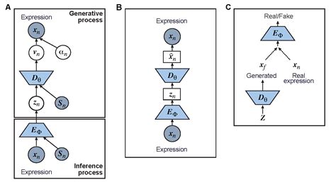 3 Overview Of Common Deep Learning Models For Scrna Seq Analysis Deep