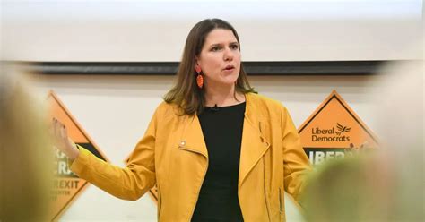 General Election Lib Dems Claim Theyd Pump £50bn ‘remain Bonus Into Public Services Mirror