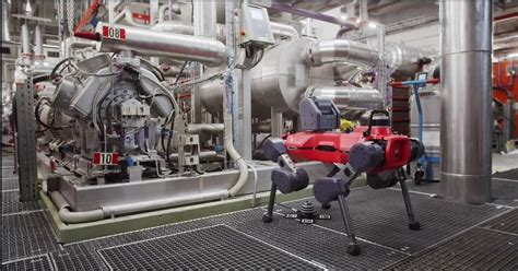 Cómo Es Anymal El Perro Robot Que Compite Con Spot Infobae