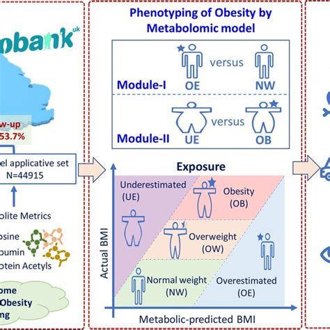 Flowchart For Selecting Participants In The Whole Study Bmi Body Mass