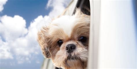 What Is Cloud Printing 2024 Update Safeq Blog